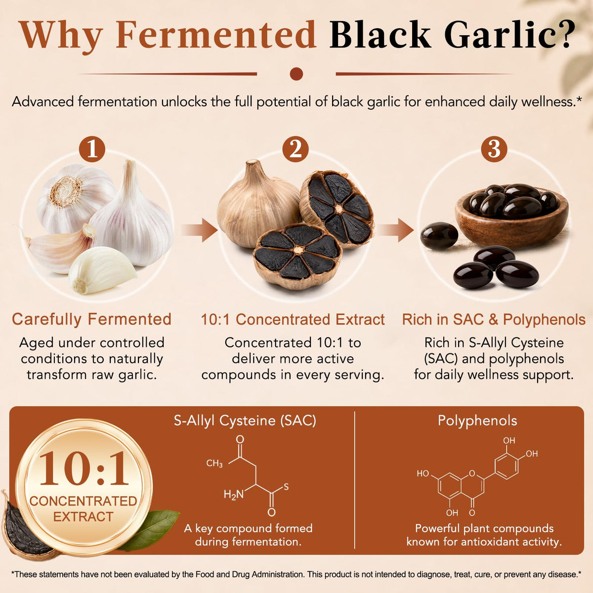 immune support with fermented garlic