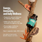 immune support with FreshCap mushrooms