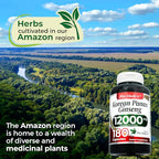 immune support with ginseng extract