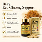 immune support with ginseng powder