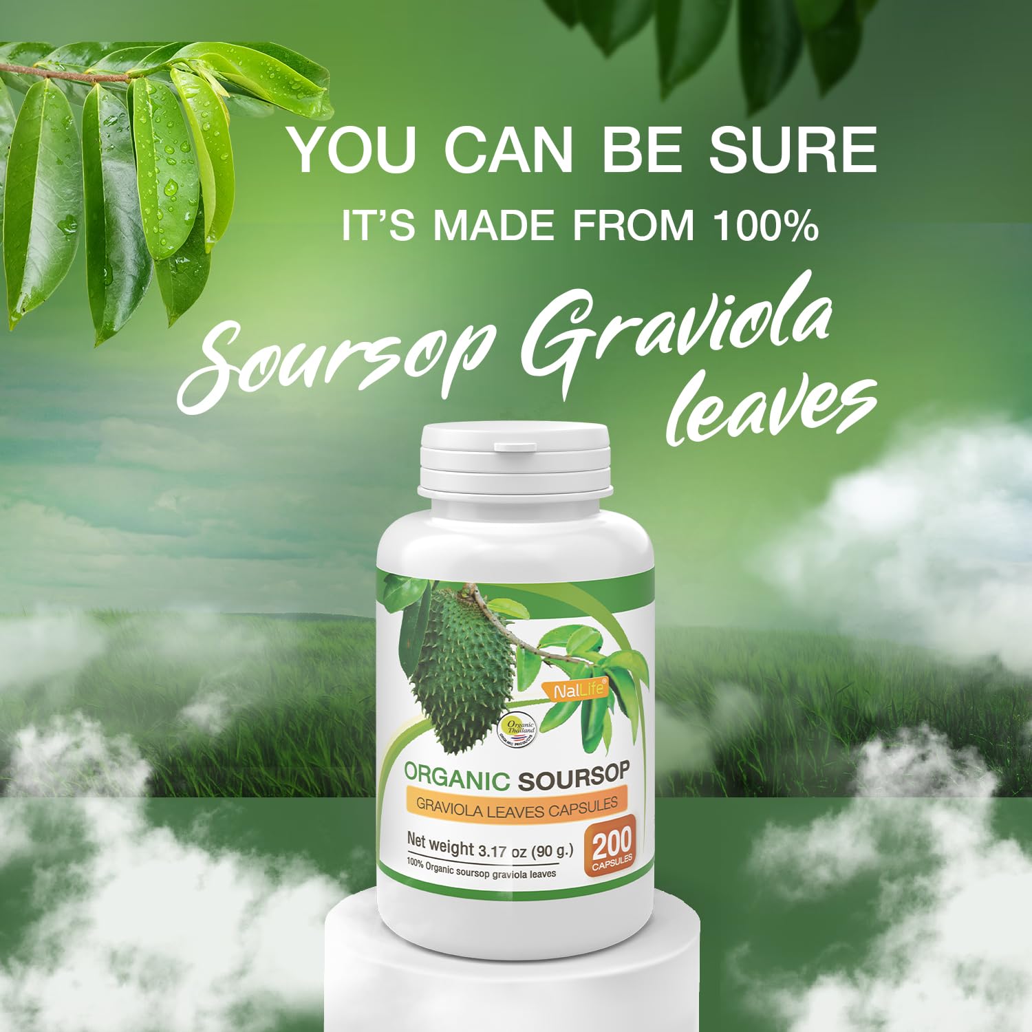 immune support with Graviola