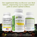 immune support with Holy Basil