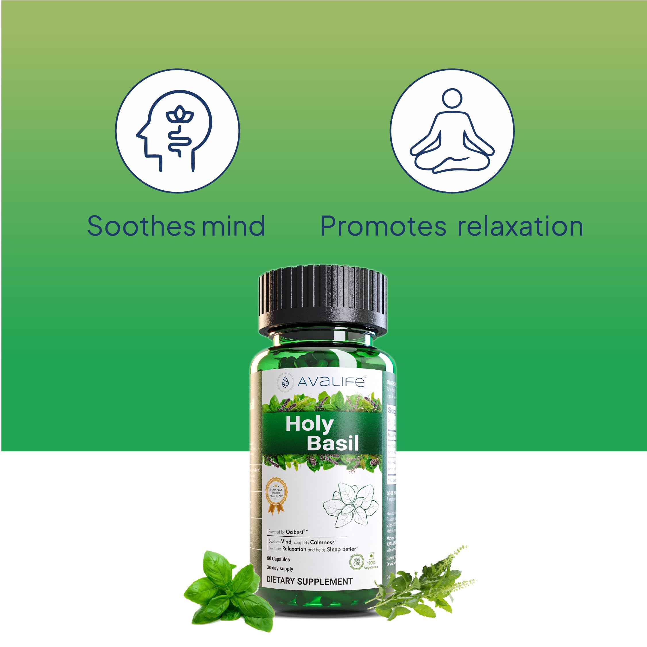 immune support with holy basil