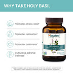 immune support with Holy Basil