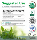 immune support with holy basil