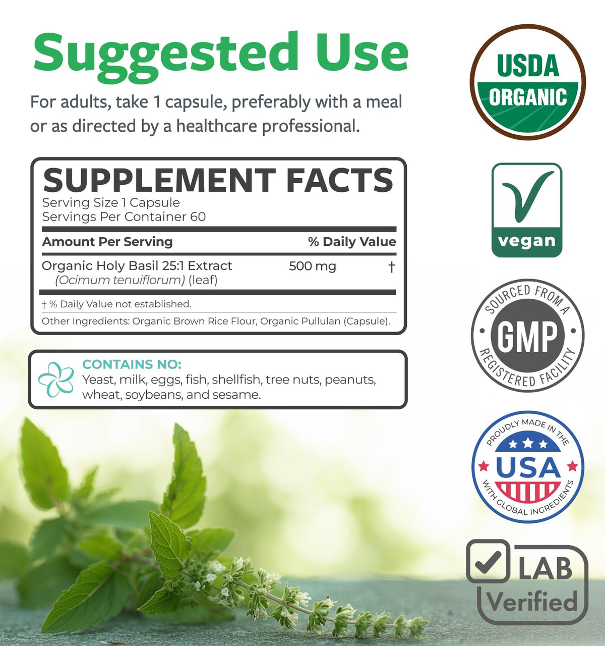 immune support with holy basil