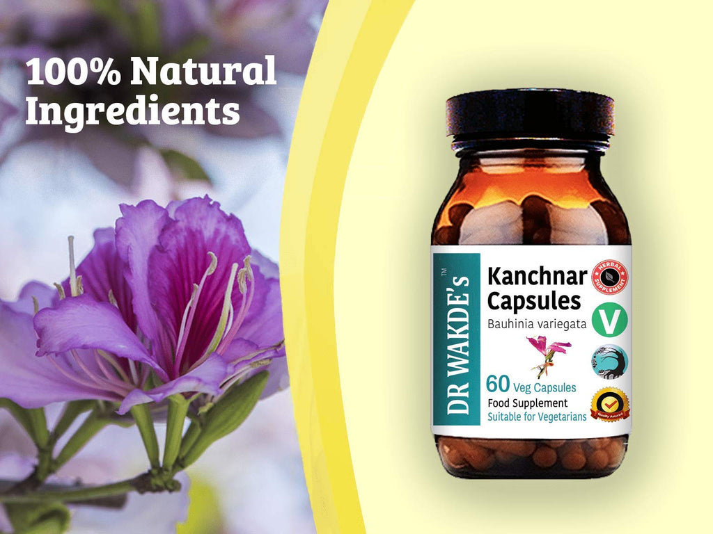 immune support with Kanchnar capsules