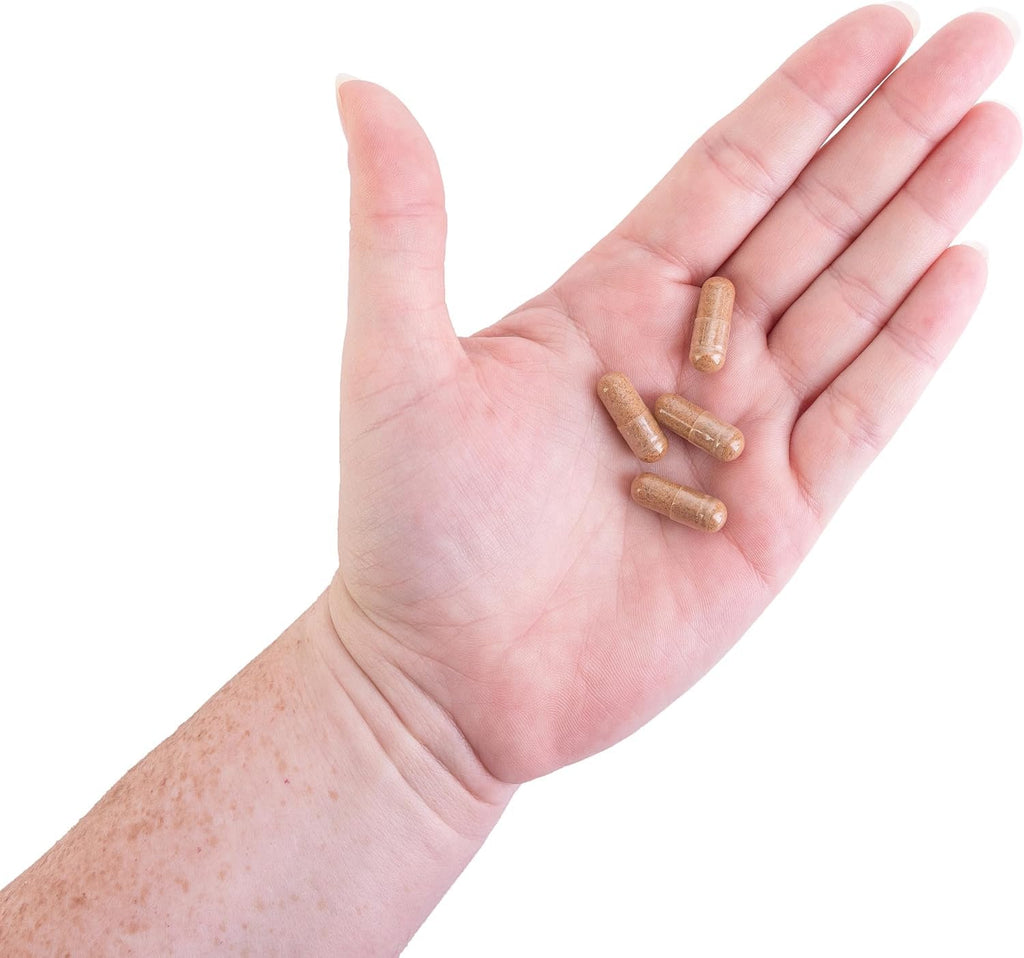 immune support with Kroeger capsules