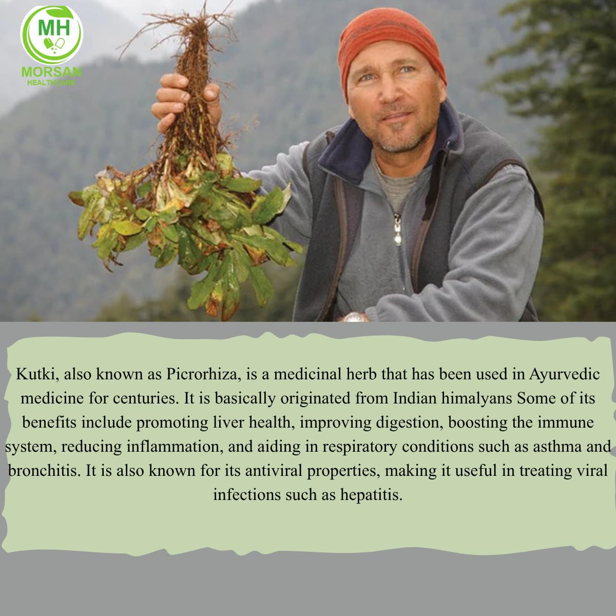 immune support with Kutki supplements