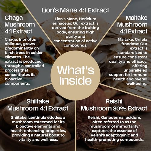 immune support with lion's mane extract