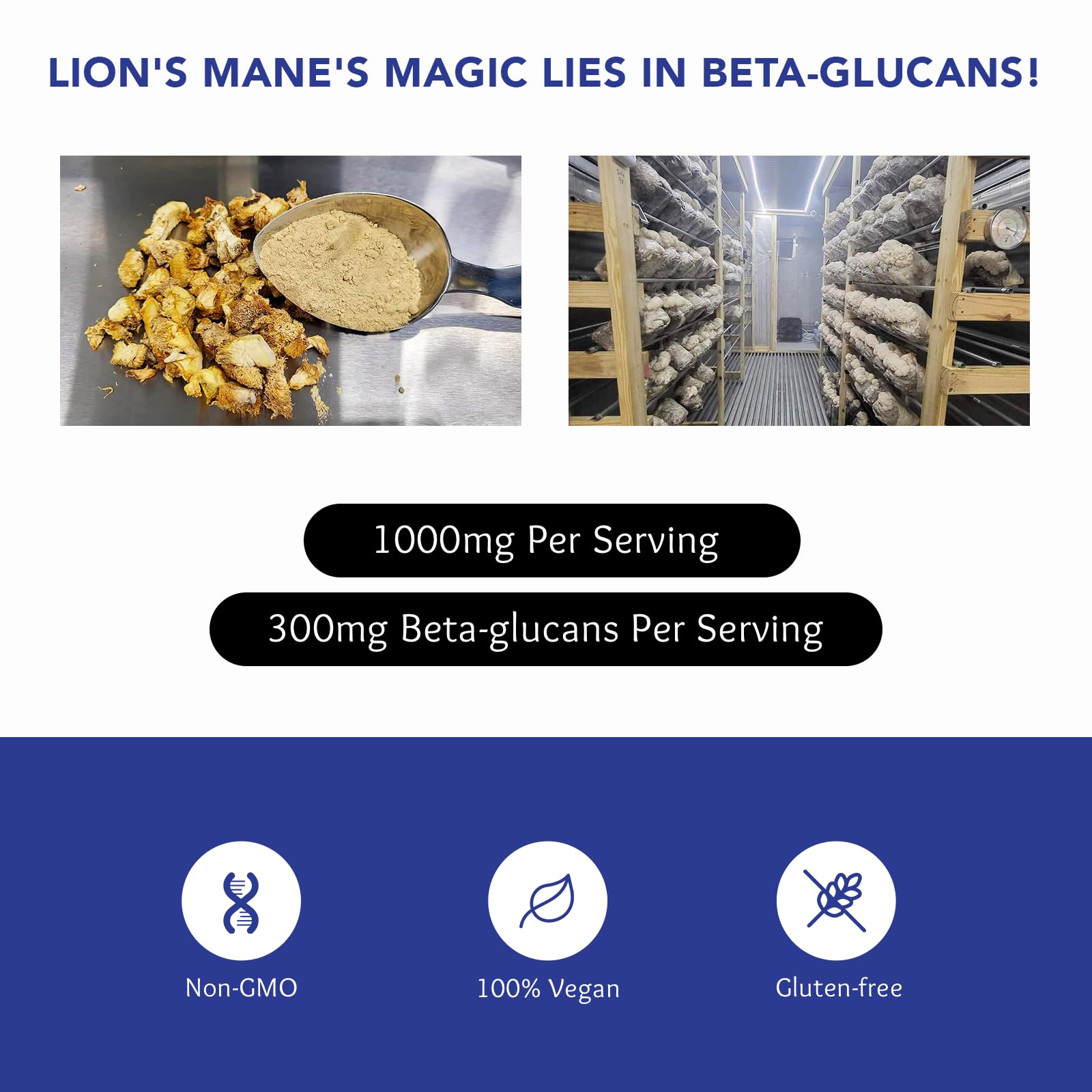 immune support with lion's mane mushrooms