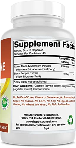 immune support with Lion's Mane