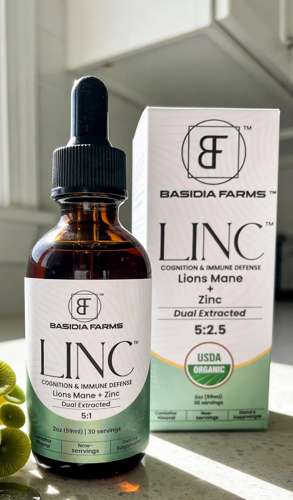 Immune support with Lion's Mane
