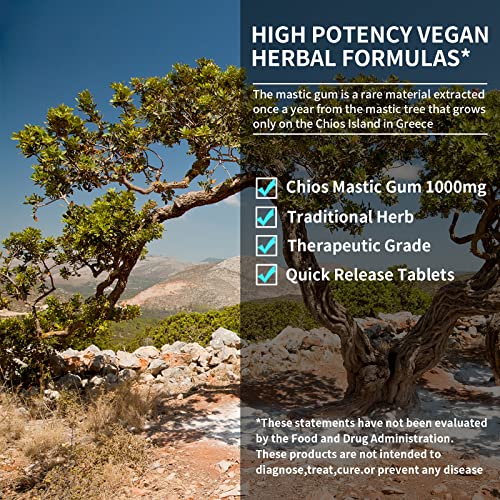 Immune support with mastic gum