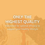 immune support with Mesima mushrooms