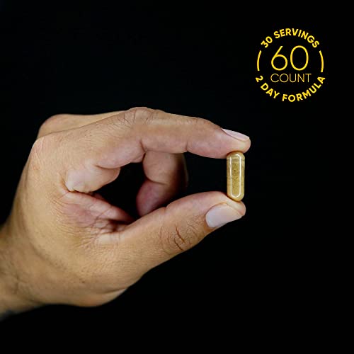 immune support with mushroom blend