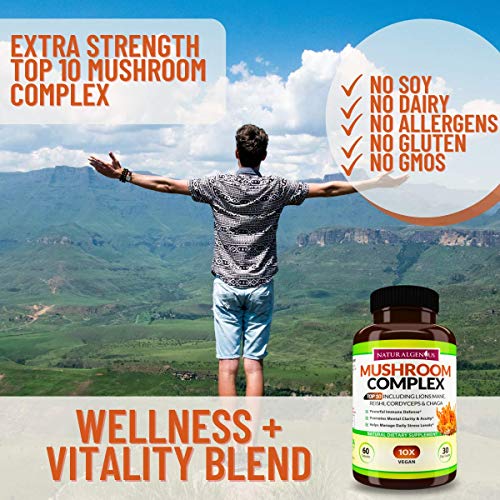 immune support with mushroom blends