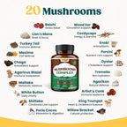 Immune support with mushroom extract