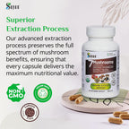 immune support with mushroom extract