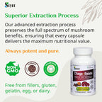 Immune support with mushrooms