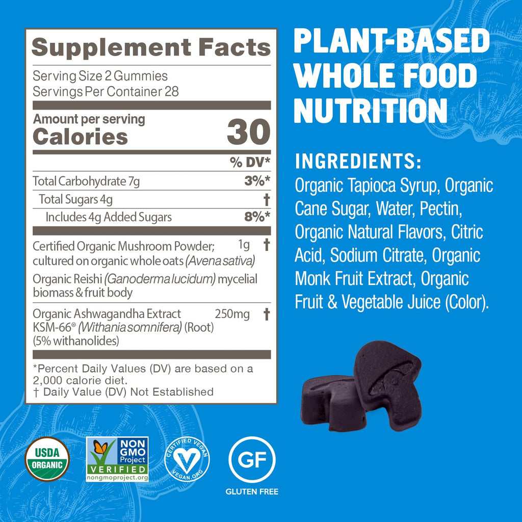immune support with mushrooms