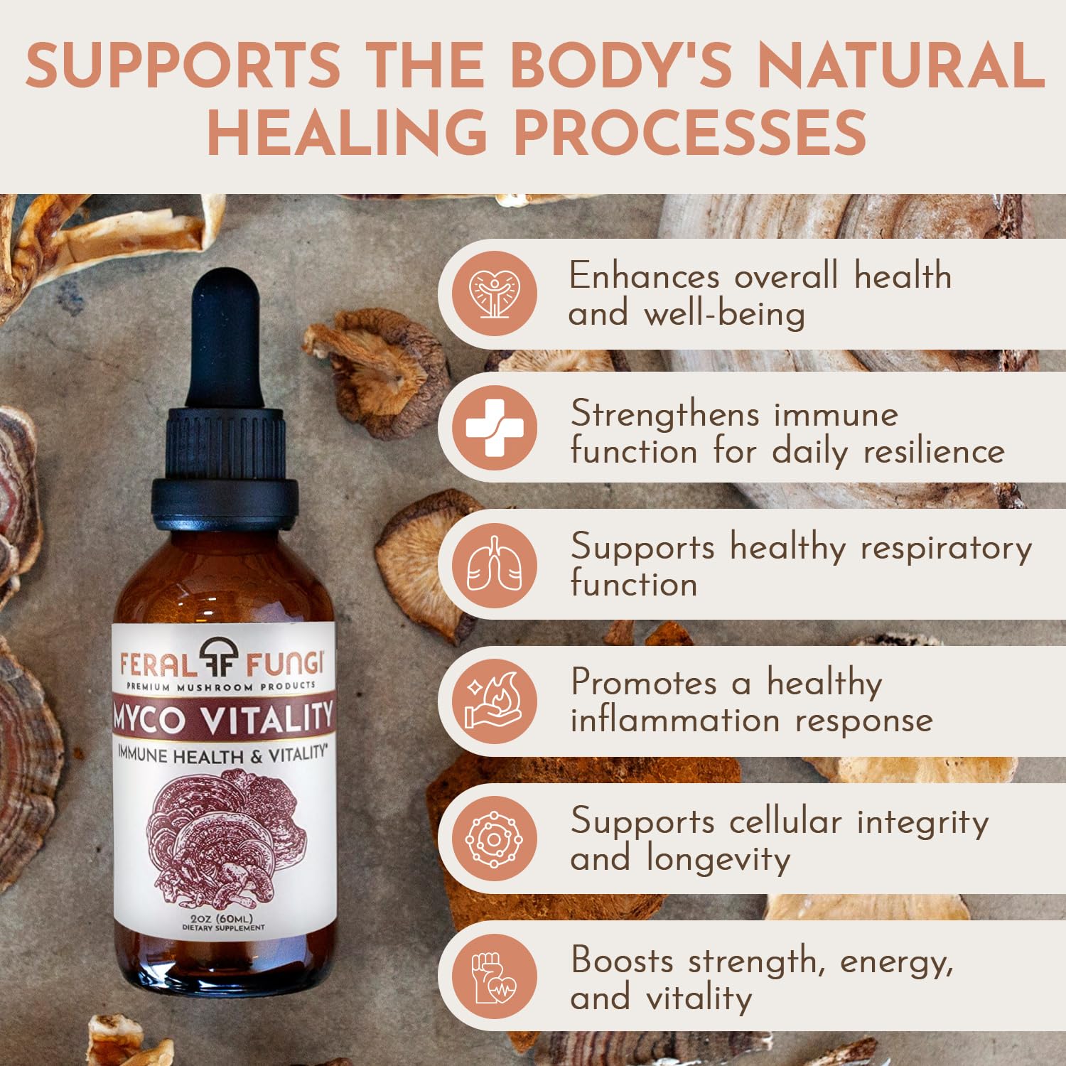 immune support with Myco mushroom tincture