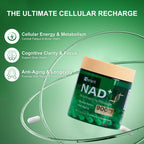 Immune support with NAD+ supplement