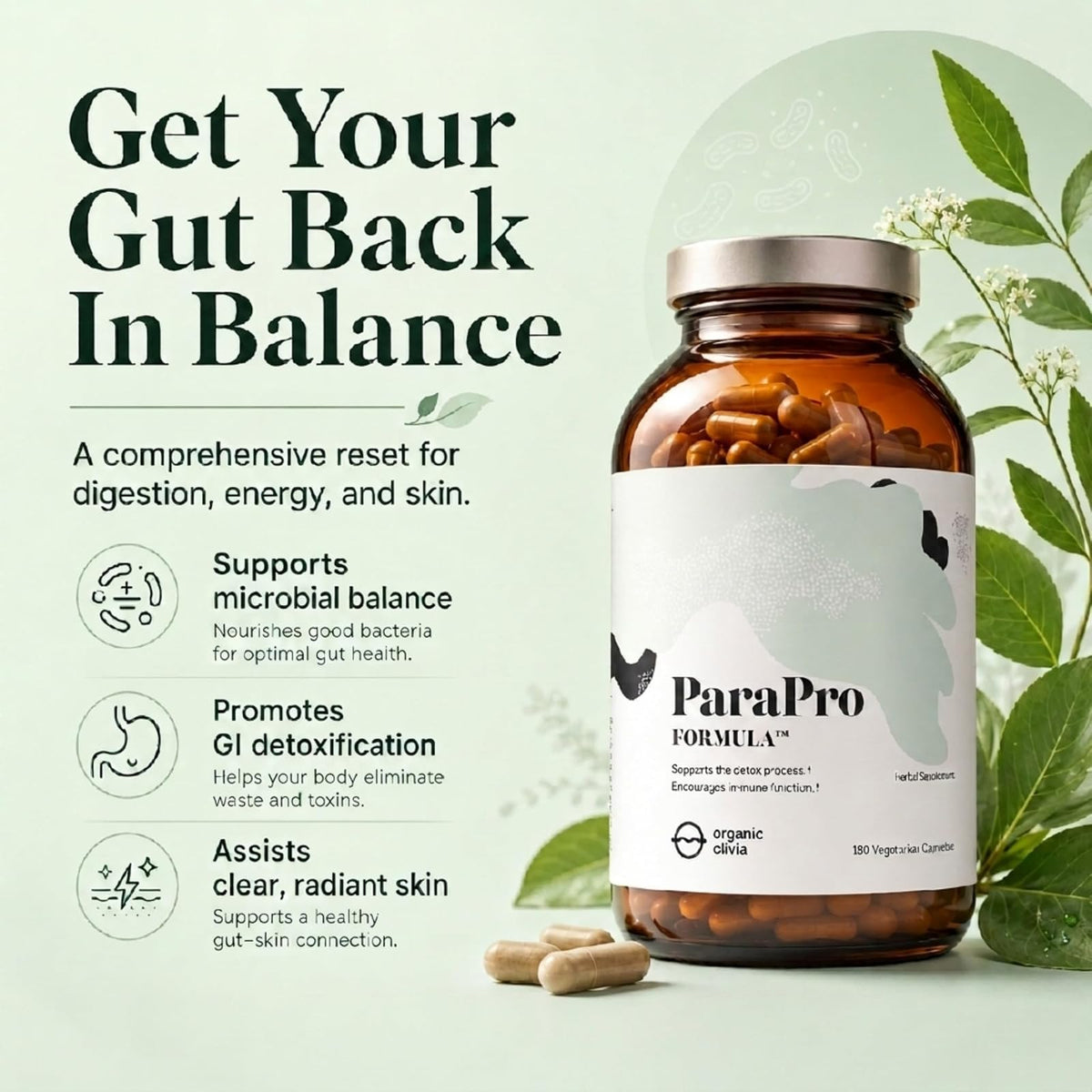 immune support with olive leaf extract