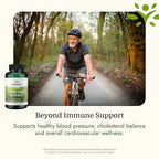 immune support with olive leaf
