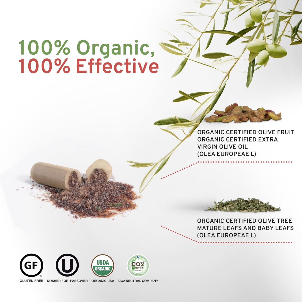 Immune support with olive leaf