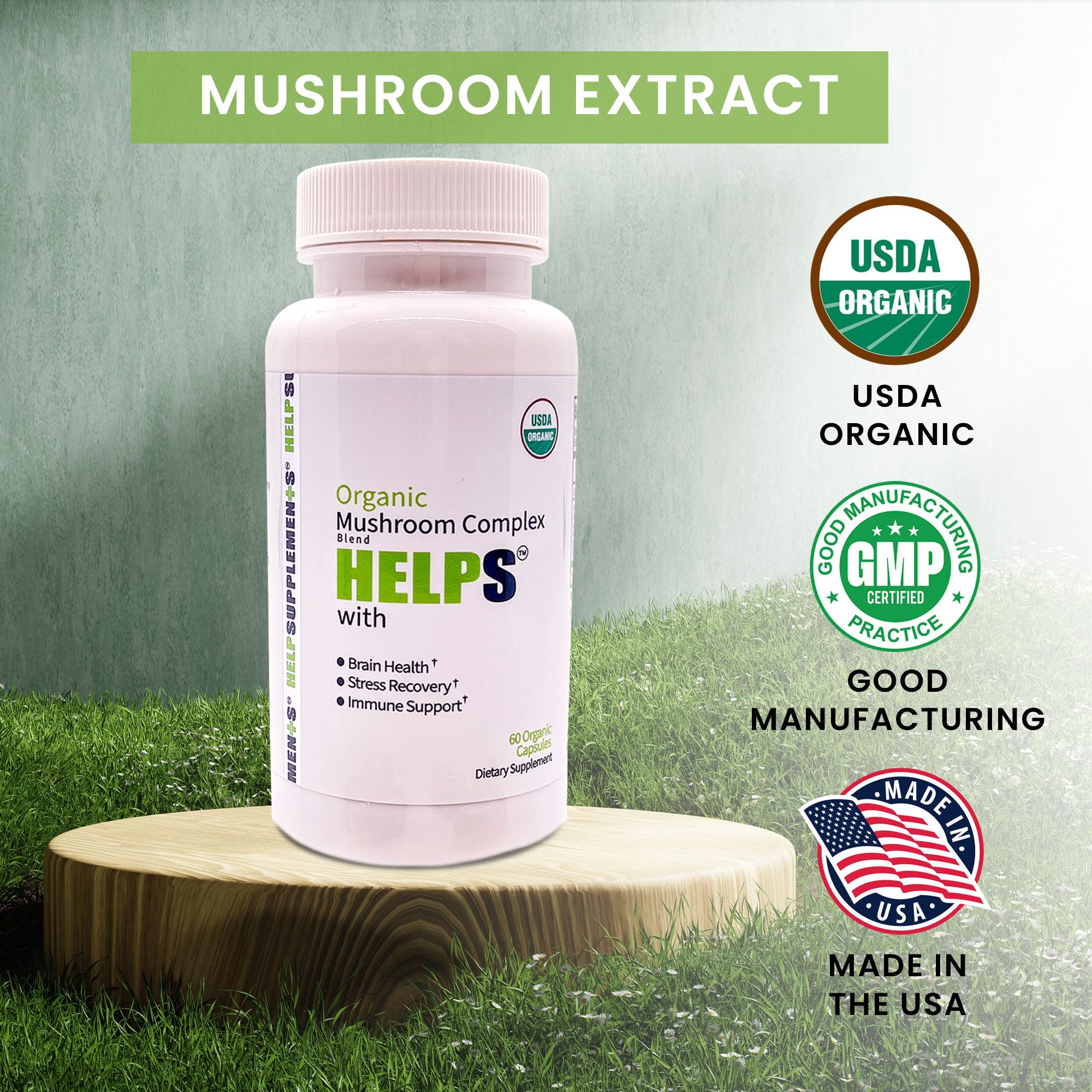 immune support with organic mushrooms