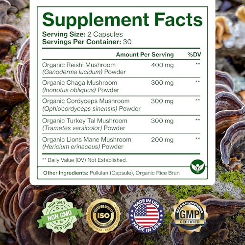 immune support with organic mushrooms