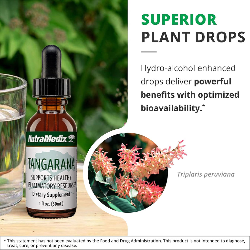 immune support with Palo Santo