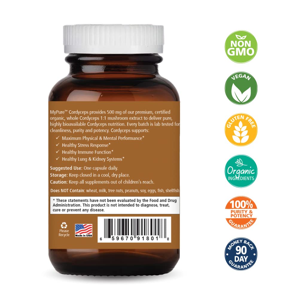 immune support with real mushrooms