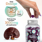 Immune support with reishi gummies