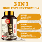 Immune support with reishi mushroom extract