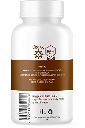 Immune support with Reishi mushrooms