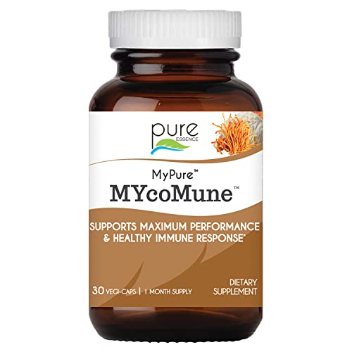 immune support with reishi mushrooms