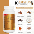 immune support with reishi