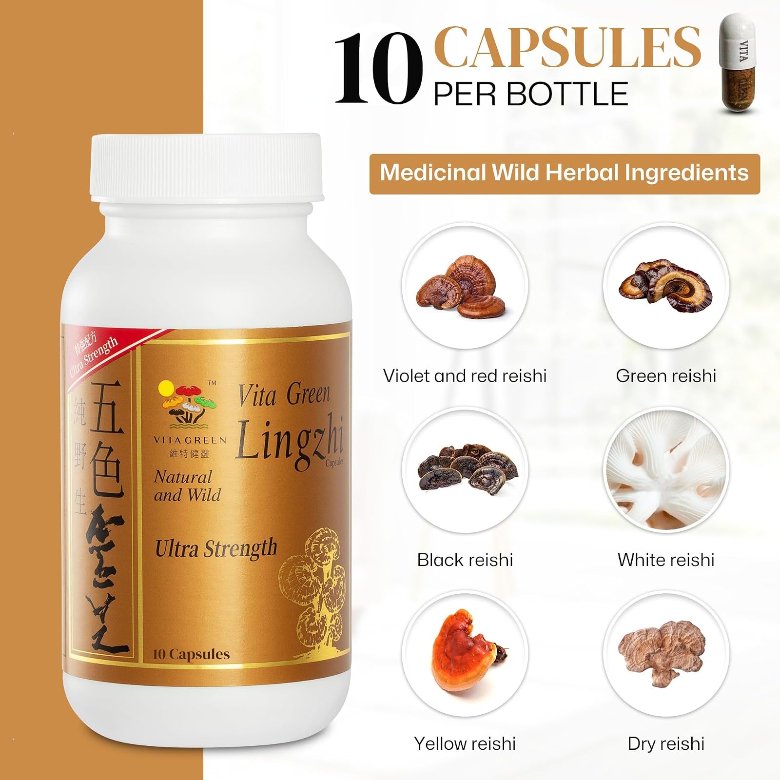 immune support with reishi
