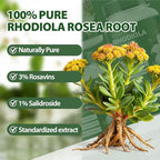 immune support with Rhodiola blend
