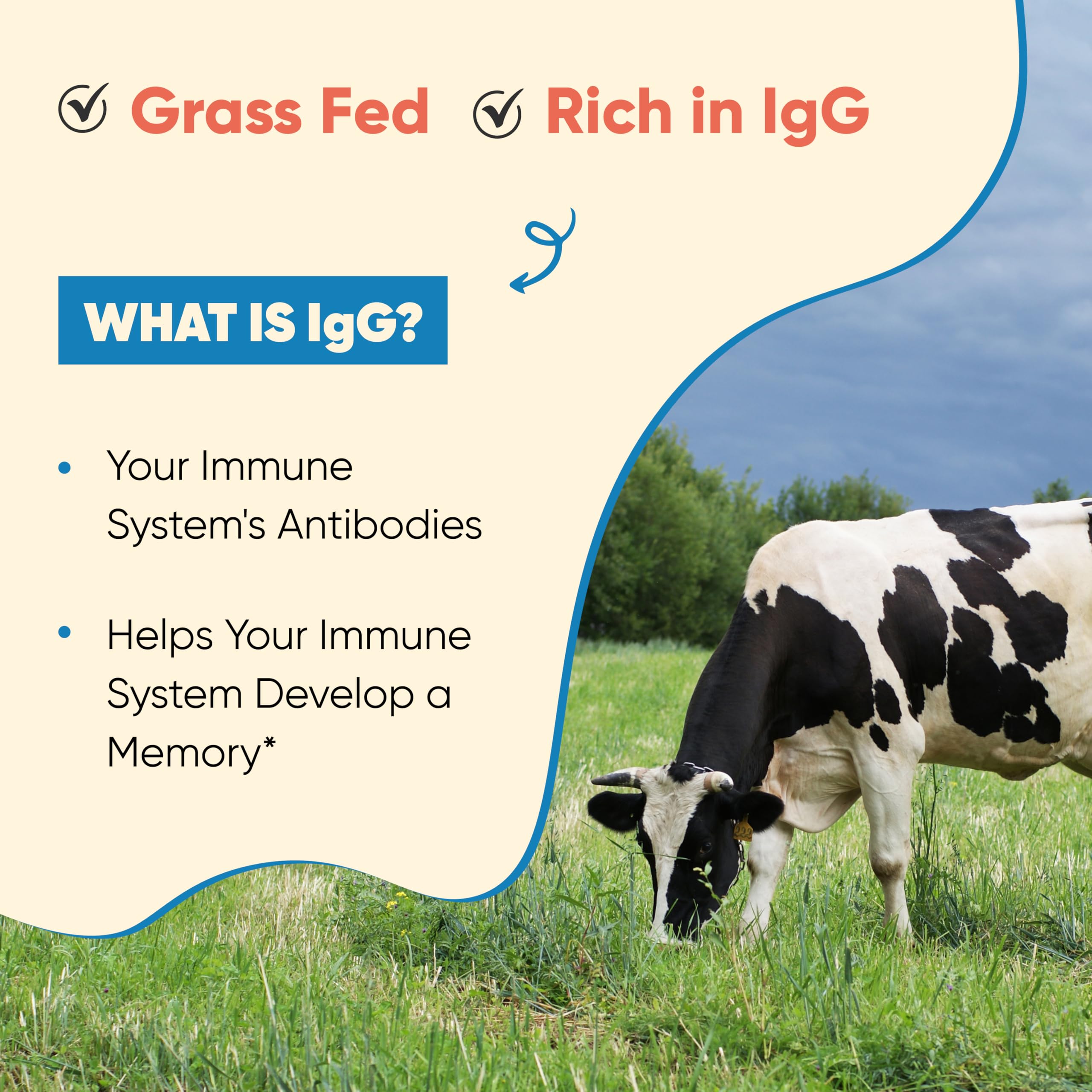 immune support with Sandhu's colostrum