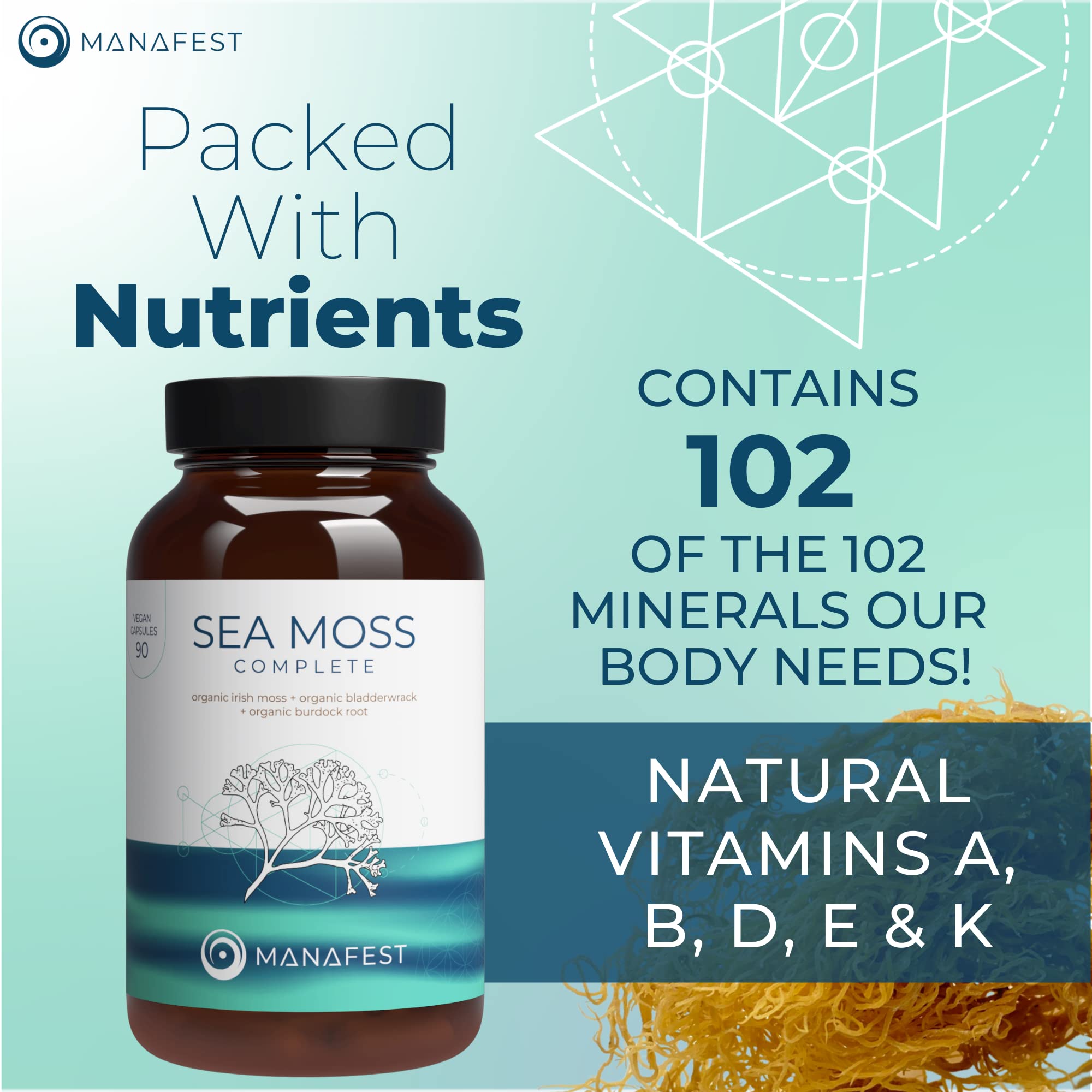 immune support with sea moss pills