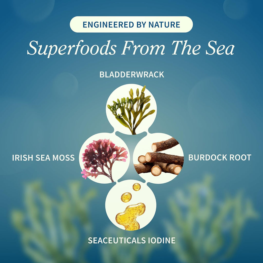 immune support with sea moss