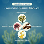 immune support with sea moss