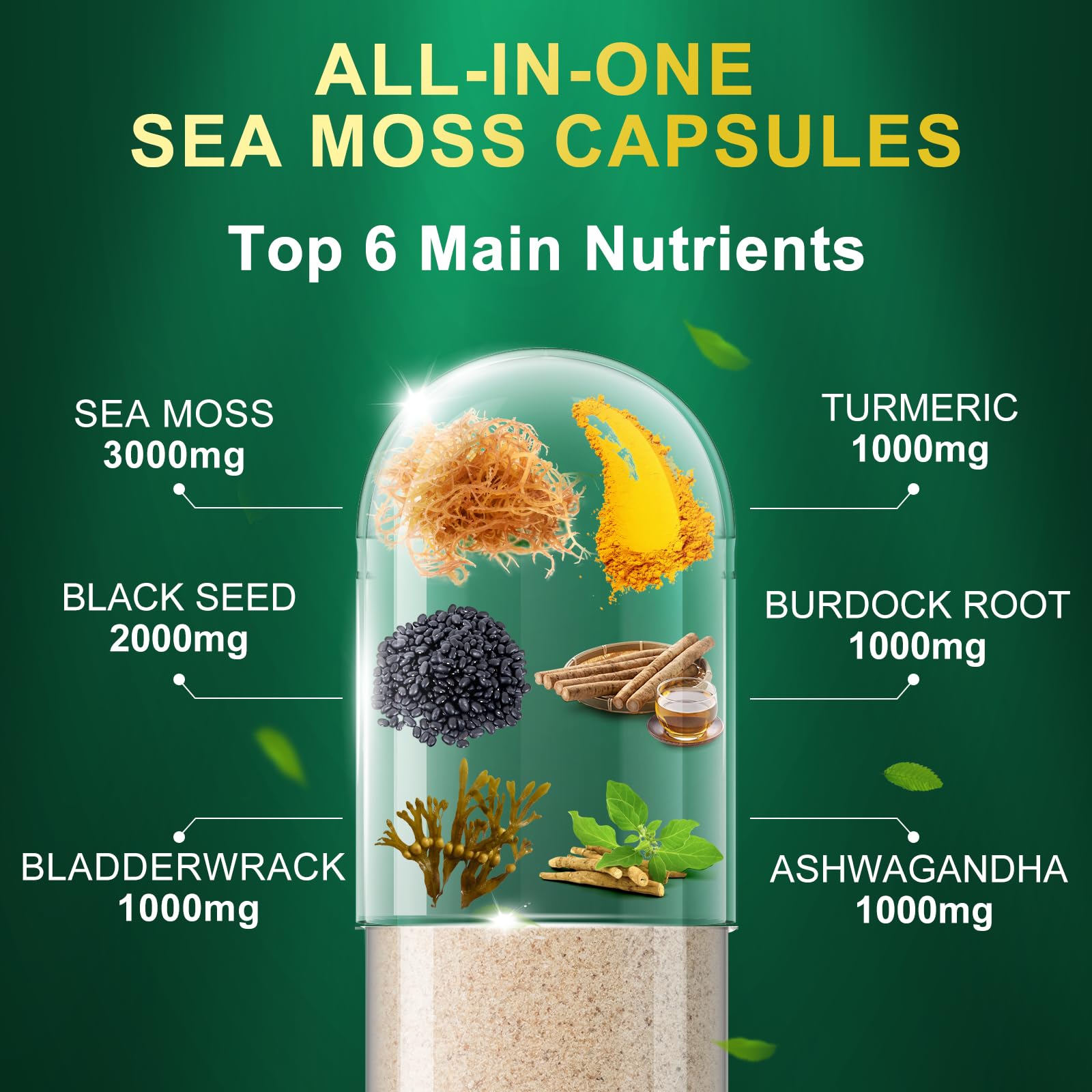 immune support with sea moss