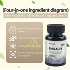immune support with Shilajit