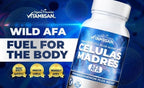 Immune support with stem cells