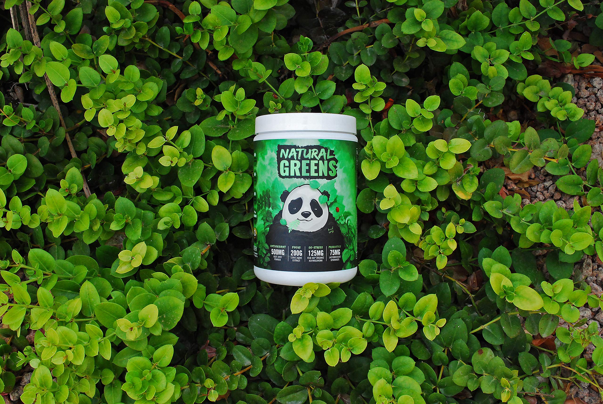 immune support with superfoods