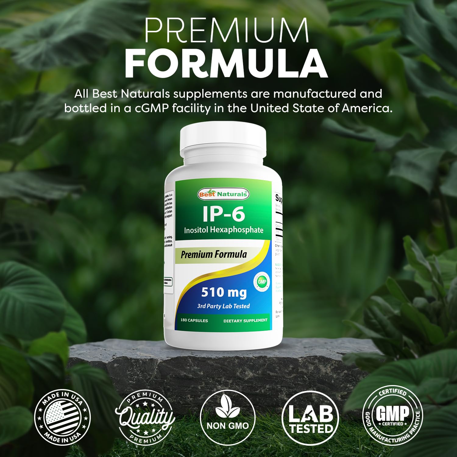 immune support with vitamin b8